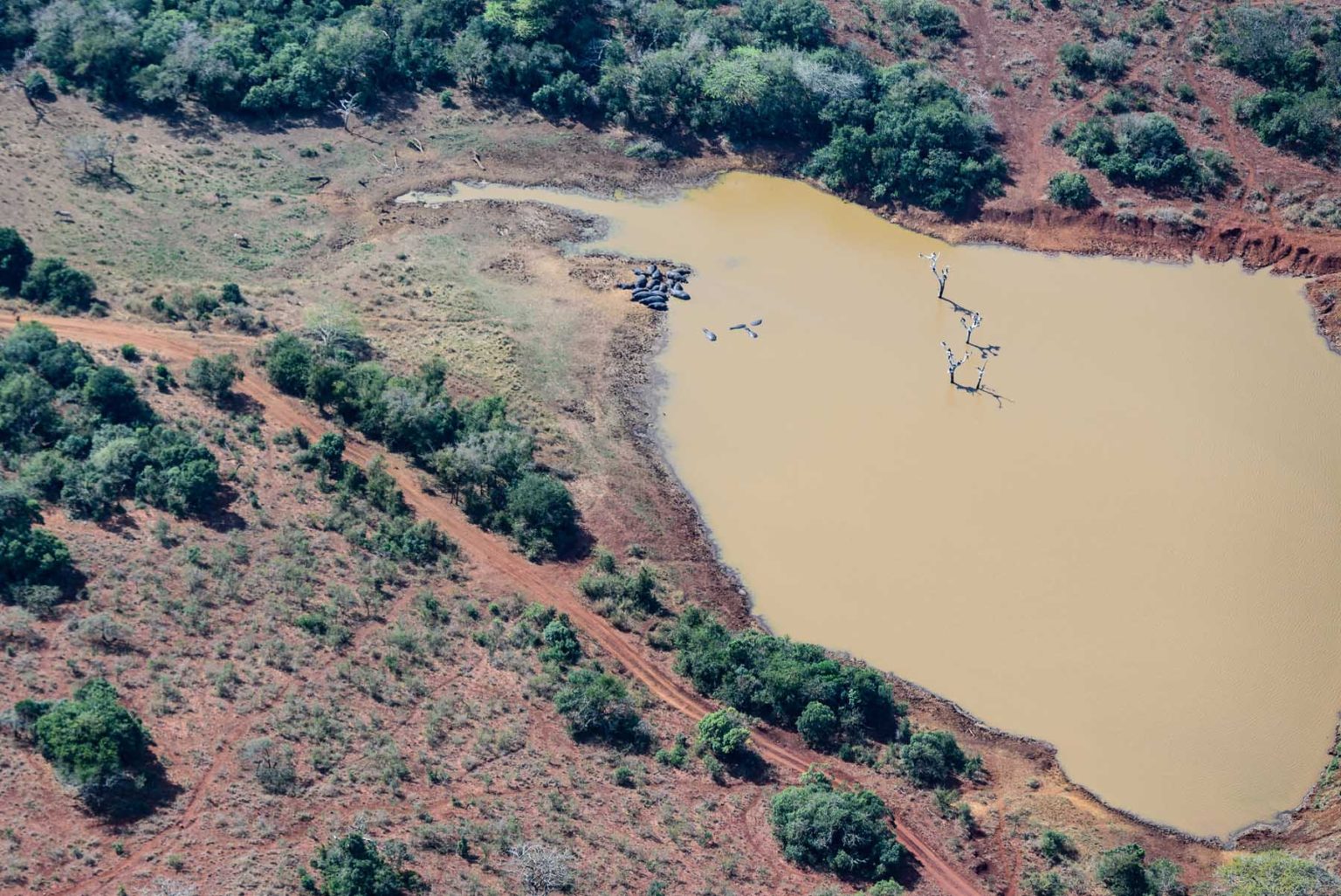 Awards and Media – ZAP-Wing